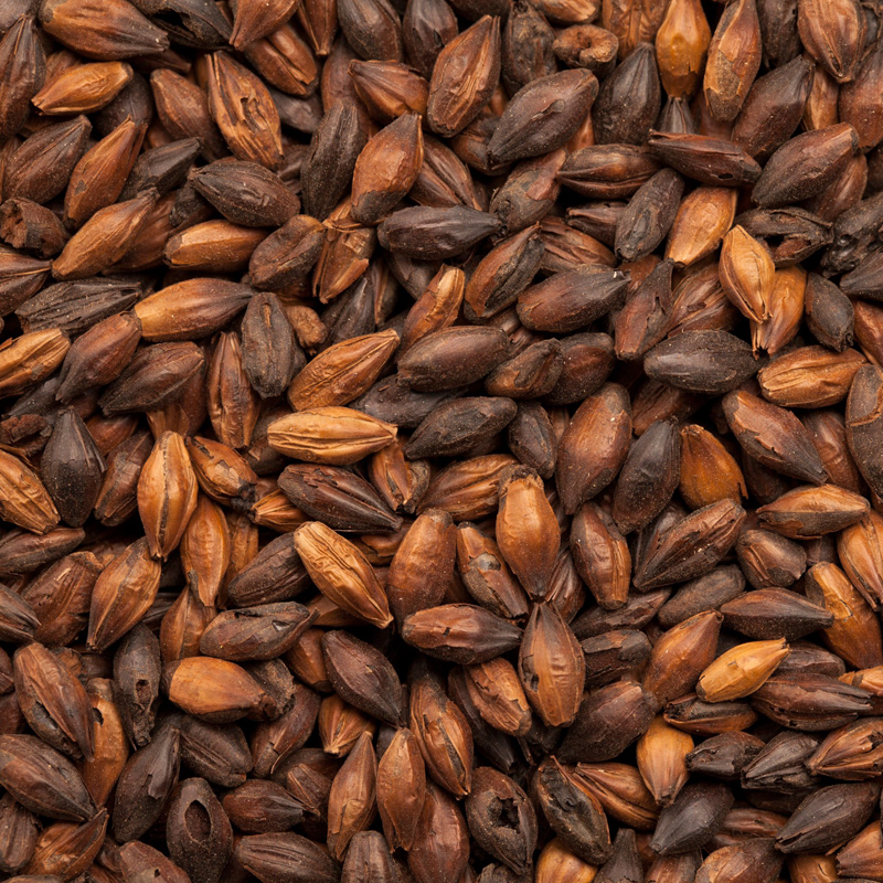 Malt chocolat – 900 EBC – 1kg – Microbrasserie Beauce & Perche